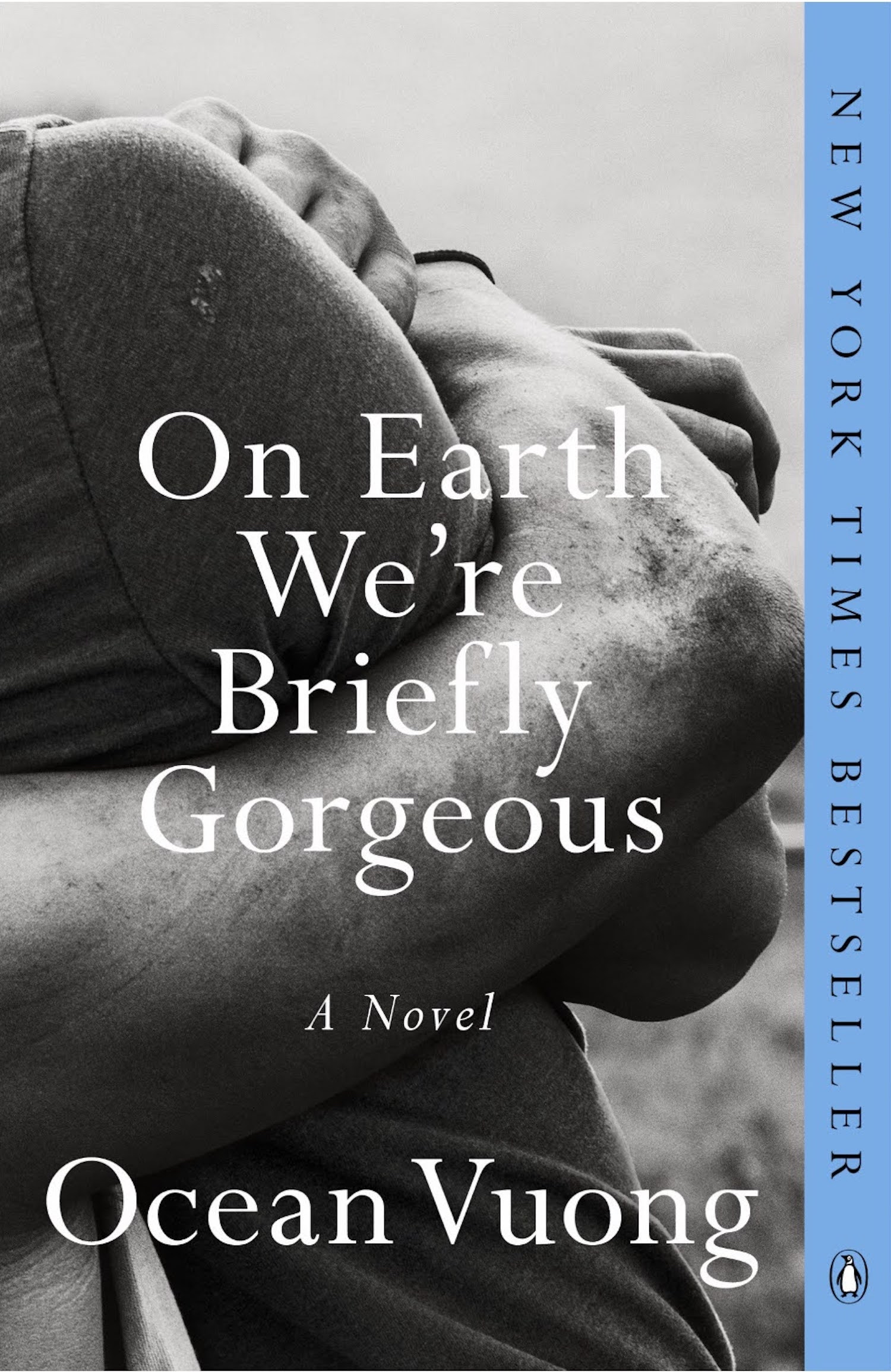 On Earth We’re Briefly Gorgeous Book Review - experiences and reflections